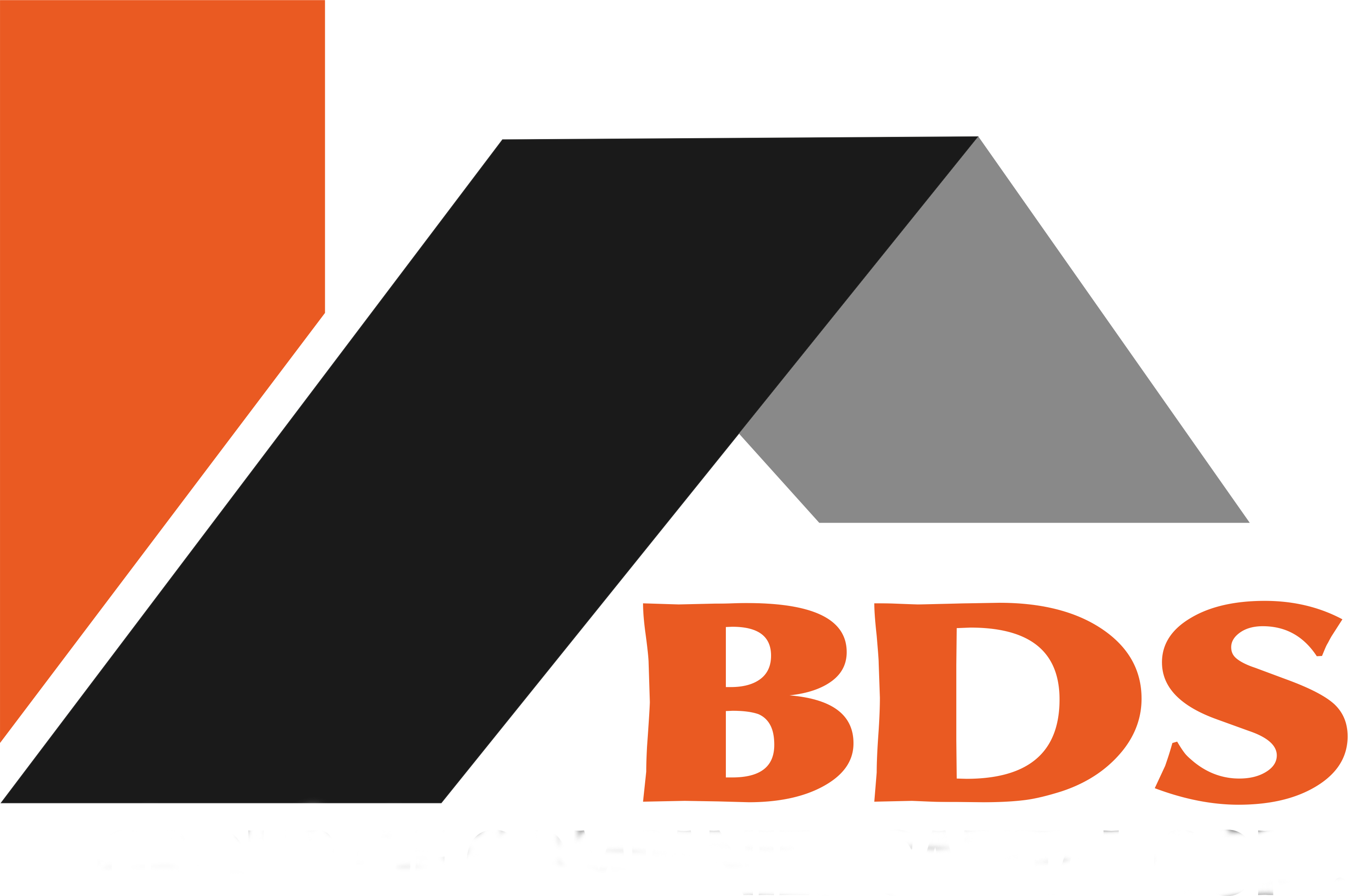 BDS Job Agency